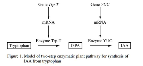 AP Biology Free Response Questions (FRQ) – Past Prompts - Sly Academy