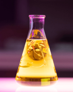 8.3 Weak Acid And Base Equilibria - Sly Academy