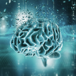 Unit 2: Cognition - Sly Academy