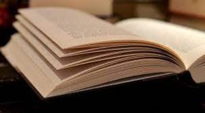 9.2 Suspense, Resolution, And Plot Development - Sly Academy