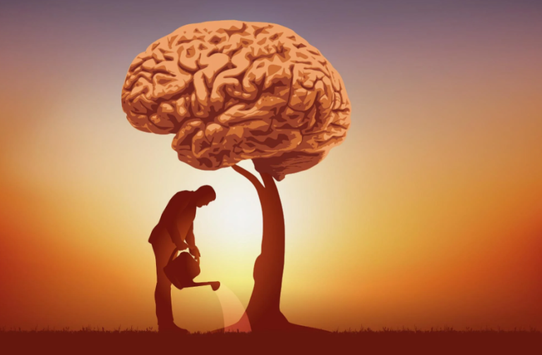 What Is Wisdom? - Sly Academy