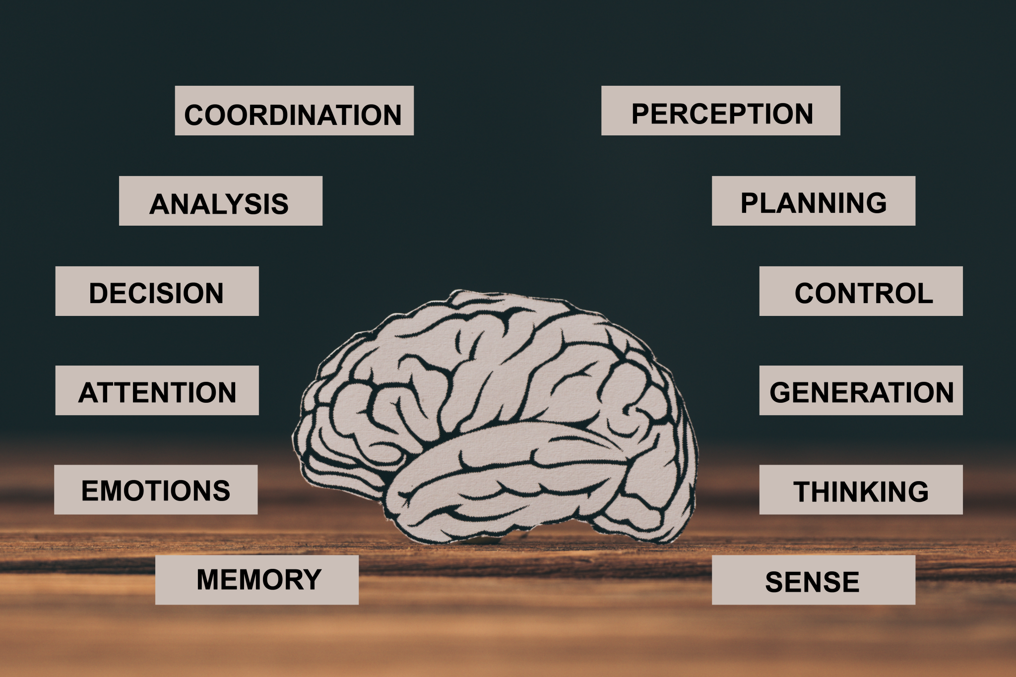 What Is Cognitive? - Sly Academy