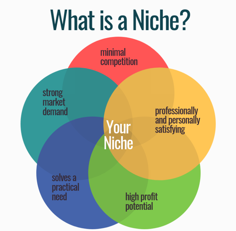 What Is A Niche? - Sly Academy