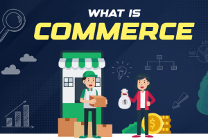 What Is Commerce? - Sly Academy