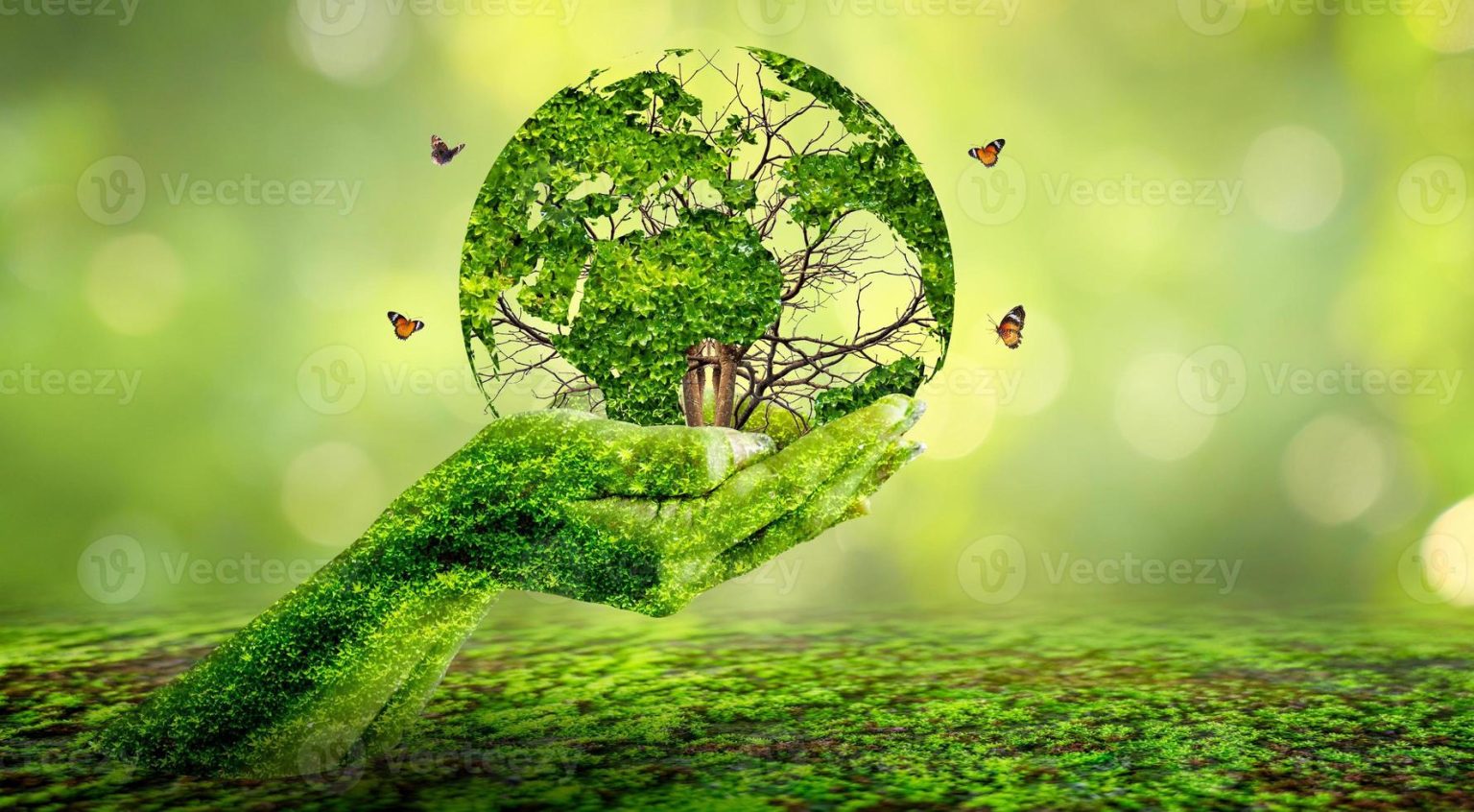 What Is Environment? - Sly Academy