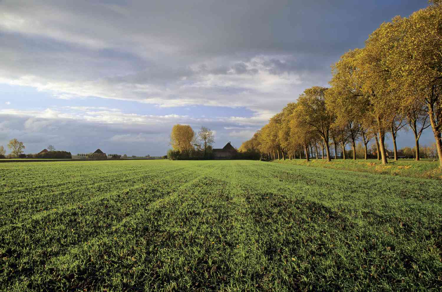 What Is Land - Sly Academy